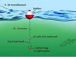 How to Trout Fish 101: Beginners Guide | Top Fishing Network